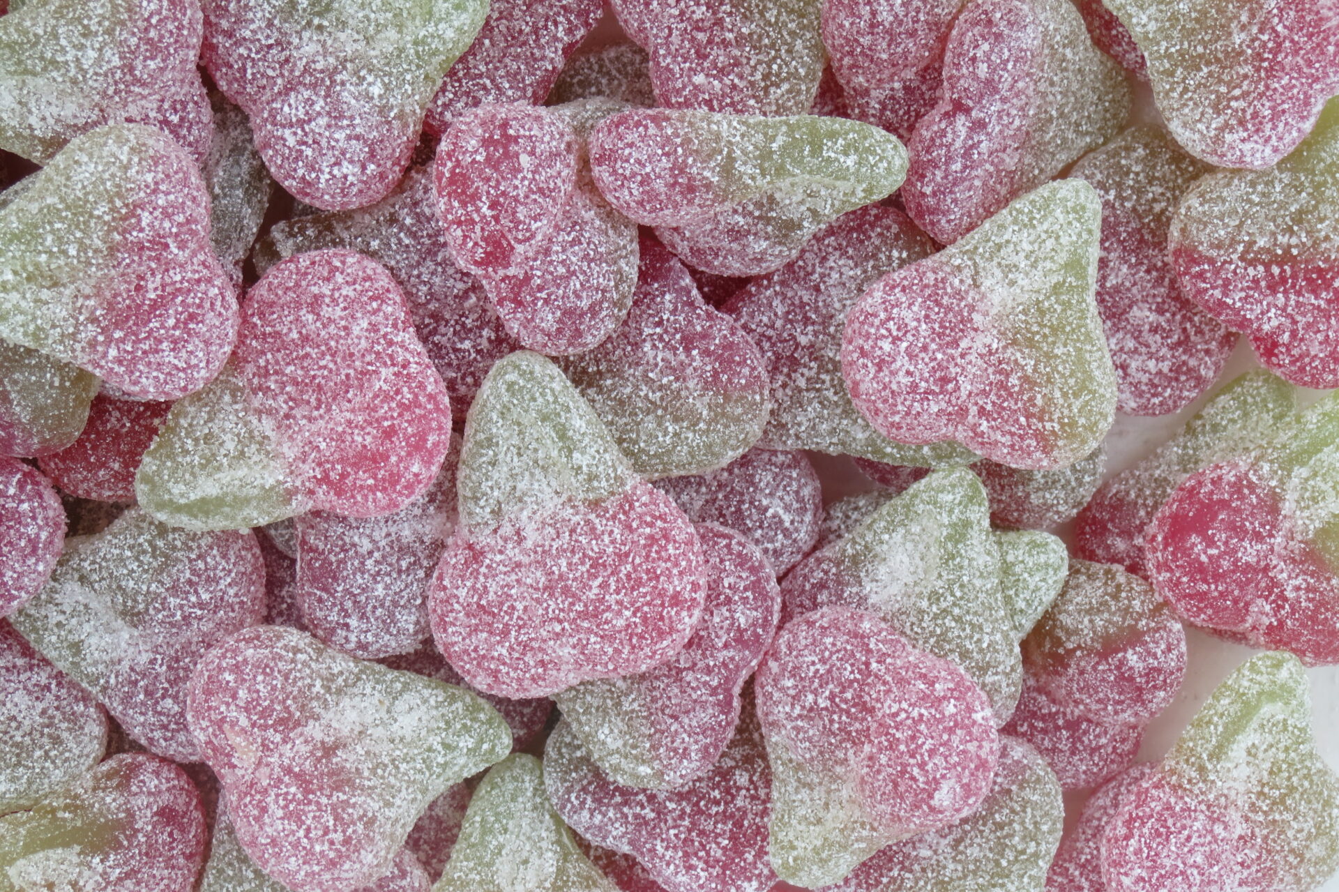 Zure kersen Frisia - Bon Bon Ballon